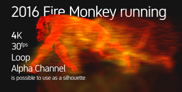 2016 Fire Monkey Running, Motion Graphics | VideoHive